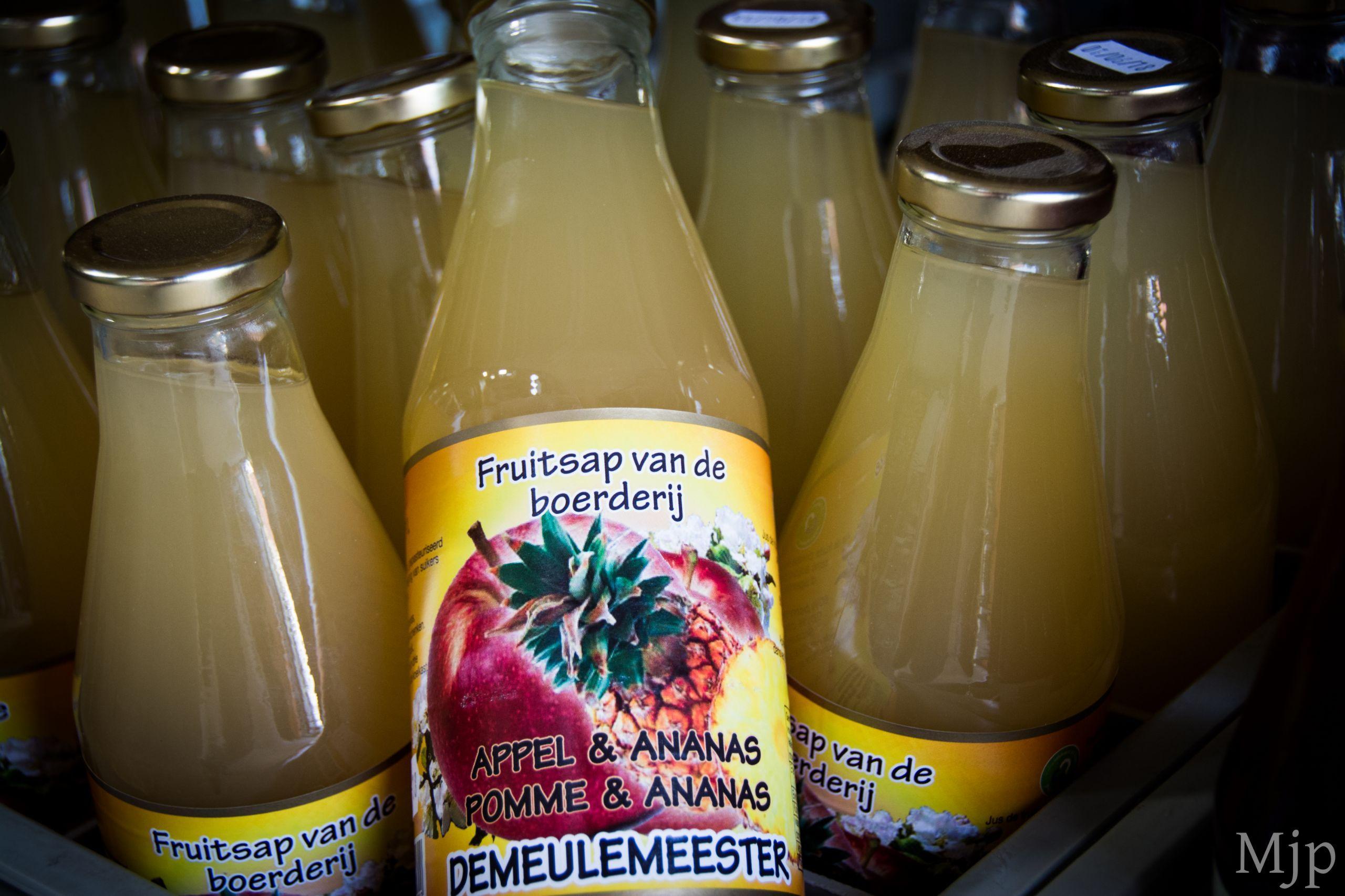 Fruitsappen - De Fruitburght