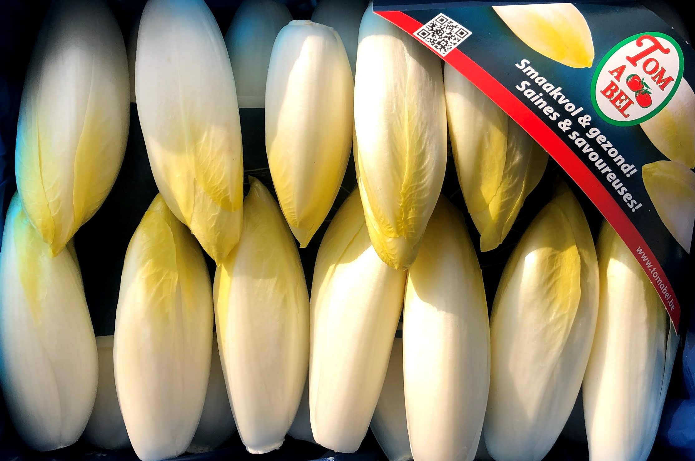 Witloof - Hoeve Mahieu