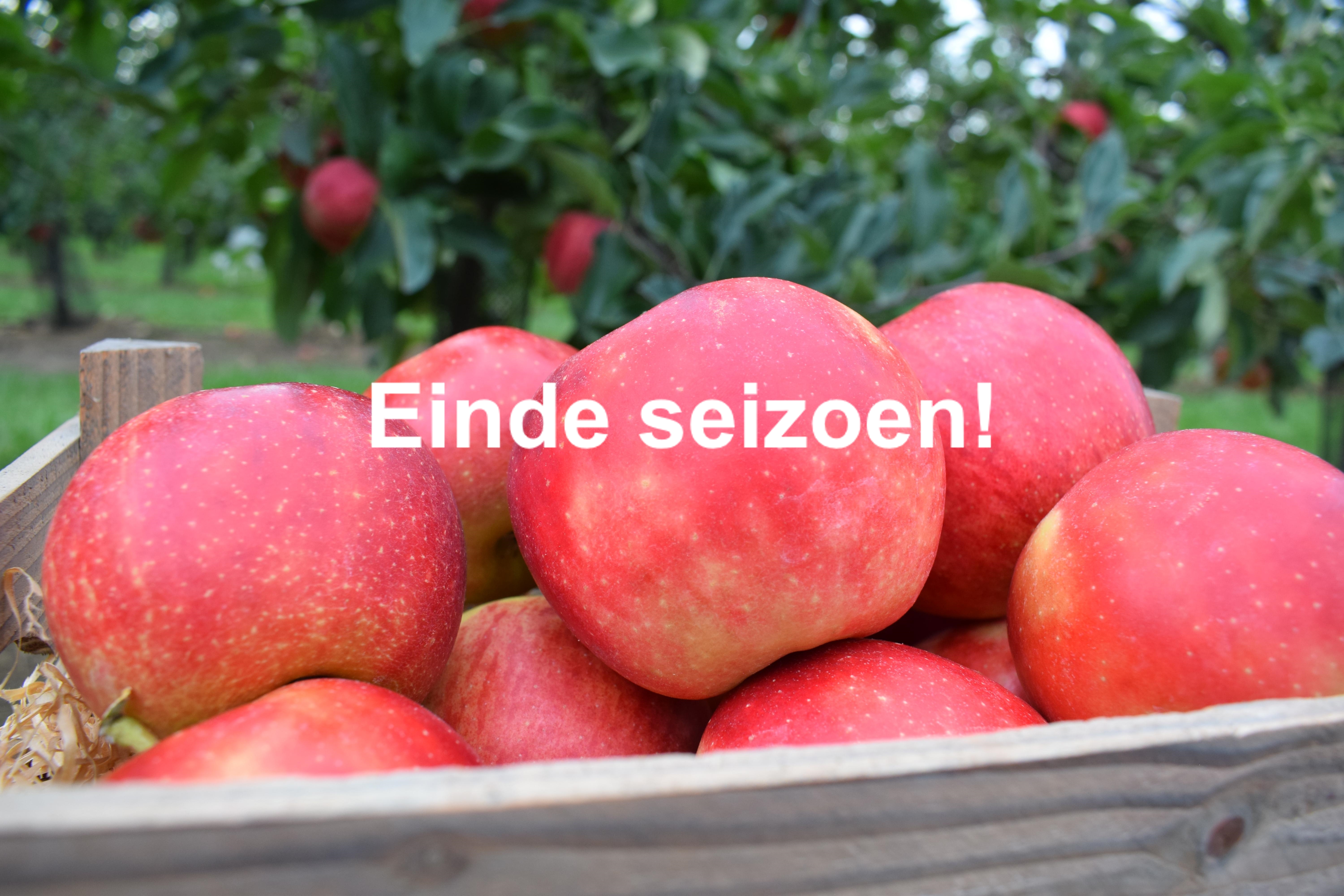 Appels - Lembi Fruit