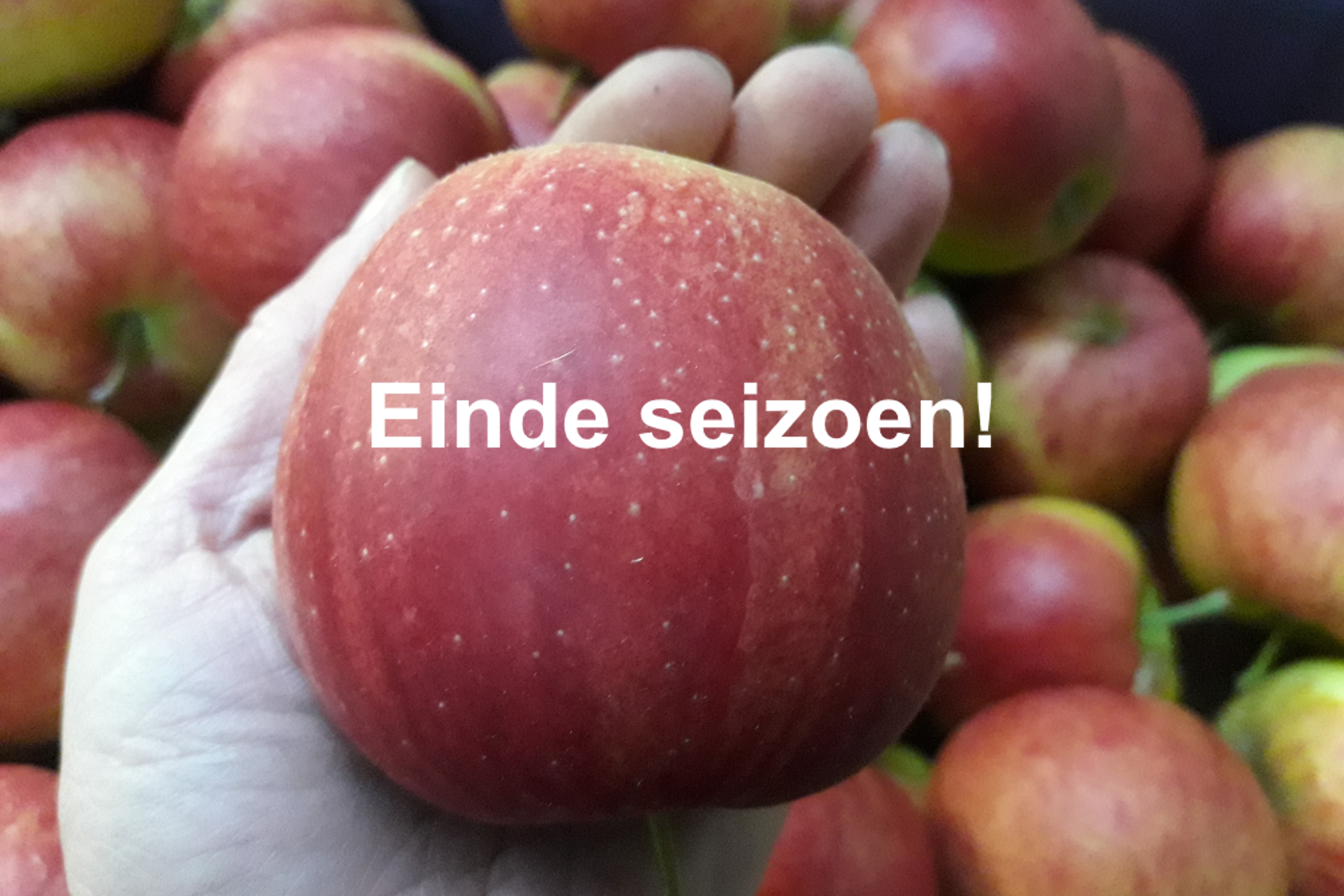 Appels - Lembi Fruit