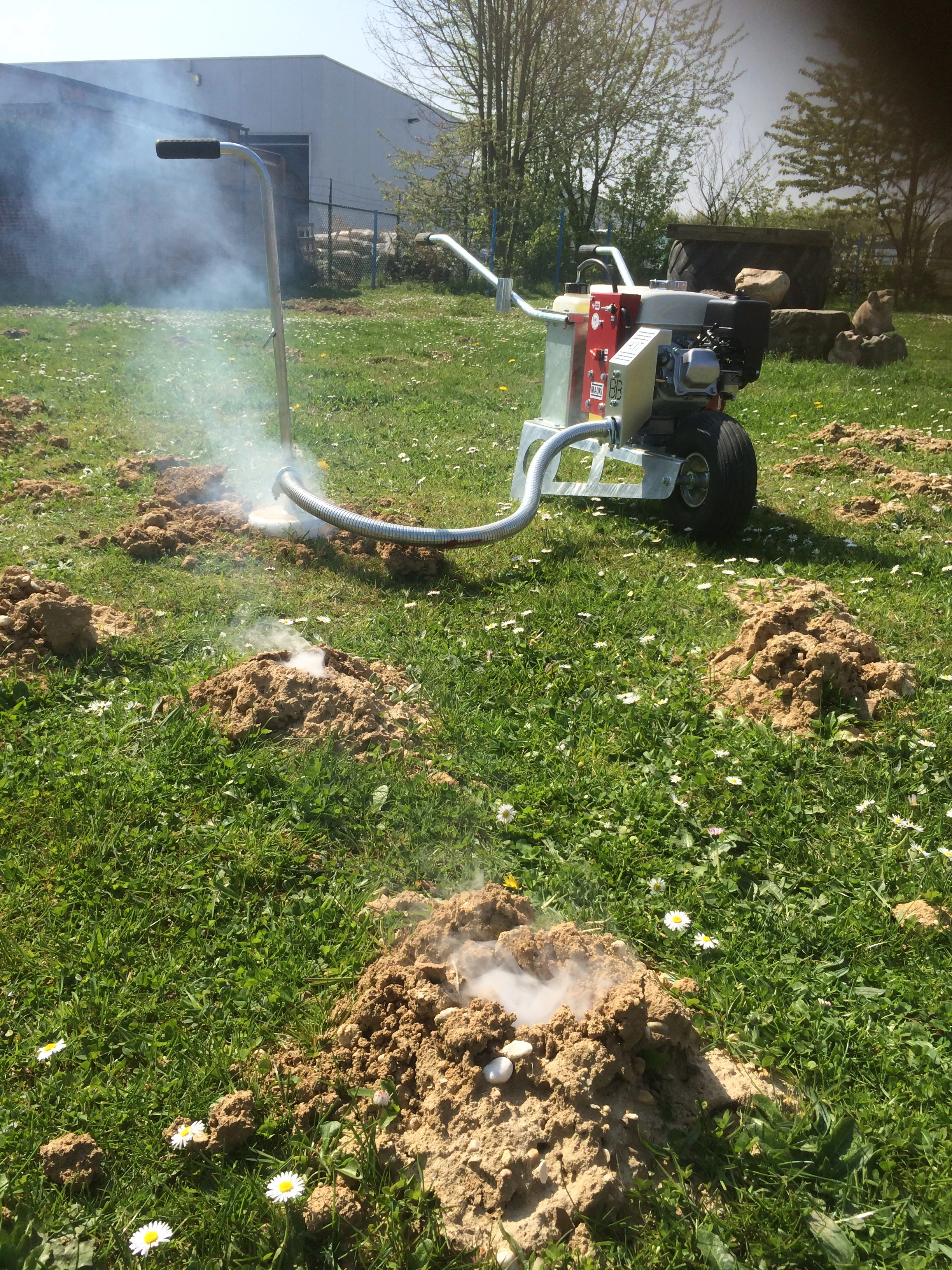 Mollen - SPOT Pest Control